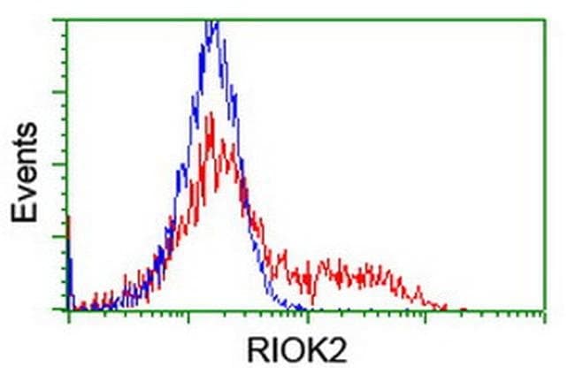RIOK2 Mouse anti-Human, Clone: OTI5D11, TrueMAB™, Origene 30 μL ...