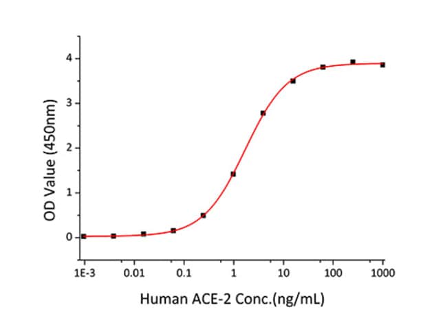 Invitrogen™ SARS-CoV-2 Spike Protein (RBD) (aa319-541), His Tag ...
