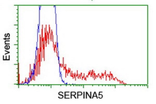 SERPINA5 Mouse anti-Human, Clone: OTI1A9, lyophilized, TrueMAB 100 μg ...