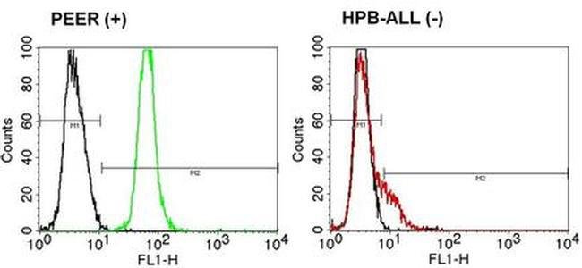 TCR V beta 12 Monoclonal Antibody (S511), Invitrogen™ 200 μg ...