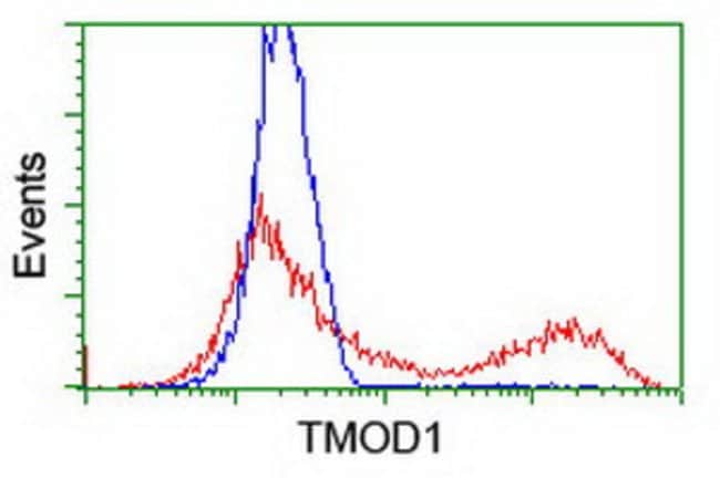 TMOD1 Mouse anti-Human, Clone: OTI4G9, lyophilized, TrueMAB 100 μg ...