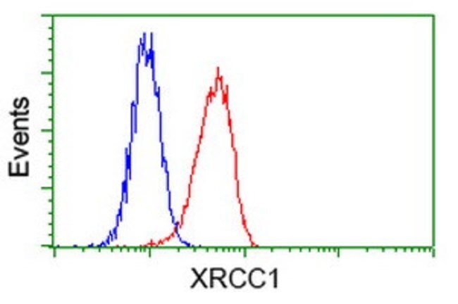 XRCC1 Mouse anti-Human, Clone: OTI2G8, lyophilized, TrueMAB 100 μg ...