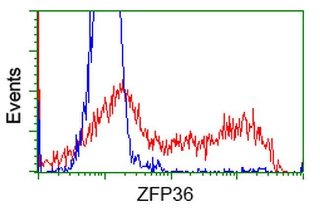 ZFP36 Mouse anti-Human, Clone: OTI3D10, TrueMAB , Origene 30 μL ...