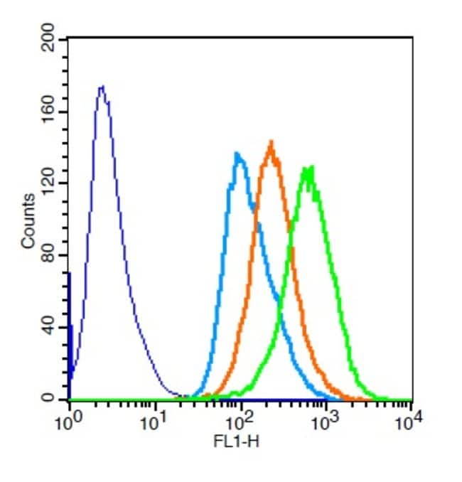 COX4 Rabbit anti-Human, Polyclonal, Bioss 100 μL; Unconjugated ...