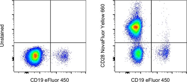 CD28 Monoclonal Antibody (CD28.2), NovaFluor Yellow 660, eBioscience ...