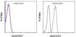 Invitrogen CD10 Monoclonal Antibody (SN5c), FITC, eBioscience 100 Tests ...