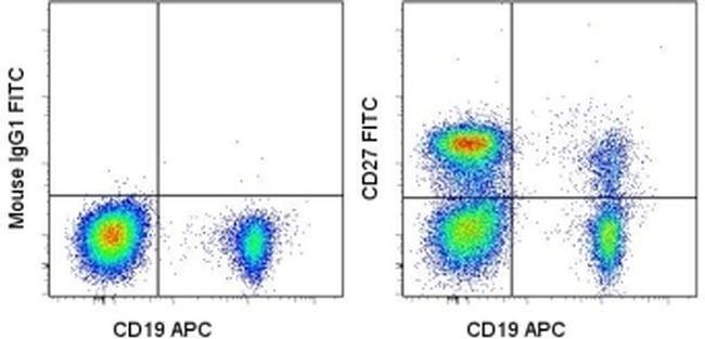 CD27 Mouse anti-Human, FITC, Clone: O323, eBioscience:Antibodies ...