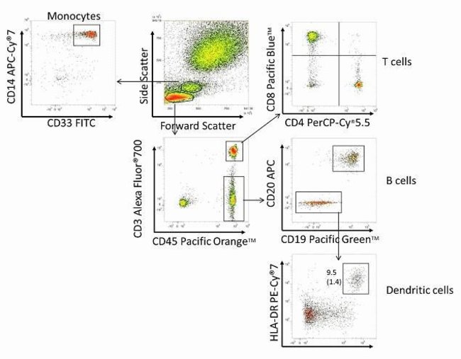 CD14 Monoclonal Antibody (61D3), APC-Cyanine7, Invitrogen™ 100 μg; APC ...