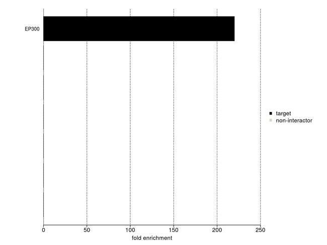 p300 Mouse anti-Human, Invitrogen 100 μg; Unconjugated:Anticorps ...