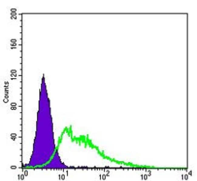Vegf Receptor 2 Monoclonal Antibody 4b4 Invitrogen 100 μl