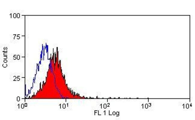 CD80 Mouse anti-Rat, Clone: 3H5, Invitrogen 250 µg; Unconjugated ...