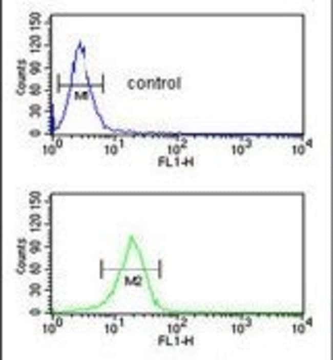 FKBP10 Polyclonal Antibody, Invitrogen 400 μL; Unconjugated:Antibodies ...