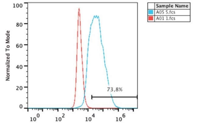 TRA-1-81 Monoclonal Antibody (TRA-1-81), DyLight 488, Invitrogen 100 μL ...