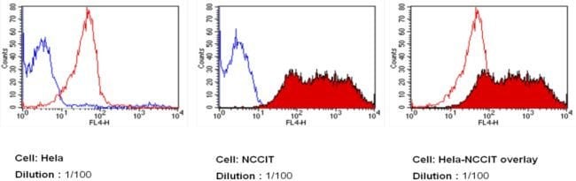 TRA-1-81 Monoclonal Antibody (TRA-1-81), DyLight 650, Invitrogen 100 μL ...