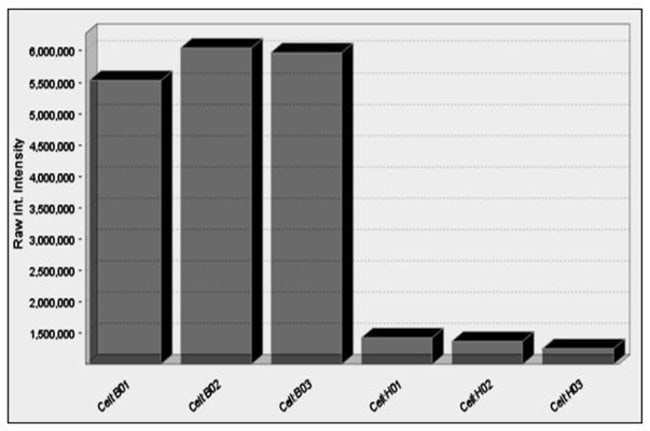 SSEA5 Monoclonal Antibody (8E11), DyLight 755, Invitrogen 100 μL ...