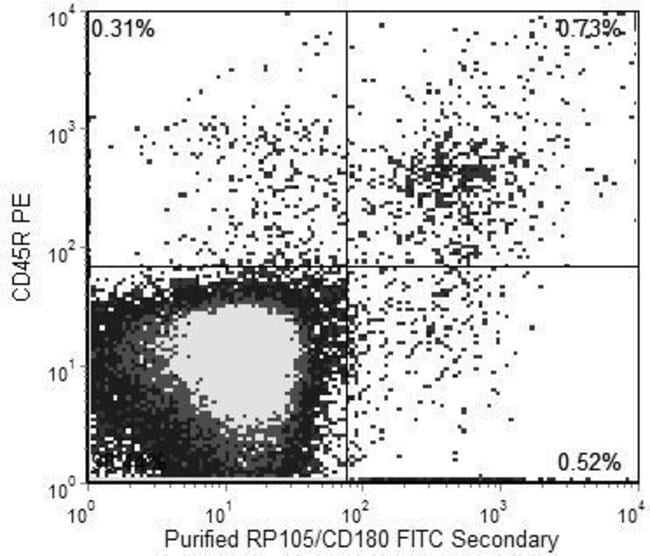 CD180 Monoclonal Antibody (G28.8), PE, Invitrogen 50 μg; PE:Antibodies ...