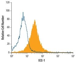 ECE1 Monoclonal Antibody (303913), Invitrogen™ 100 μg; Unconjugated ...