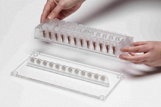 Invitrogen™ MagnaRack™ Magnetic Separation Rack Magnetic Separation ...