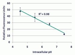 Molecular Probes pHrodo Red and Green AM Intracellular pH Indicator ...