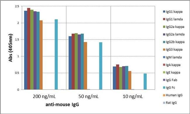 Rabbit anti-Mouse IgG Fc Recombinant Secondary Antibody, Invitrogen 100 ...
