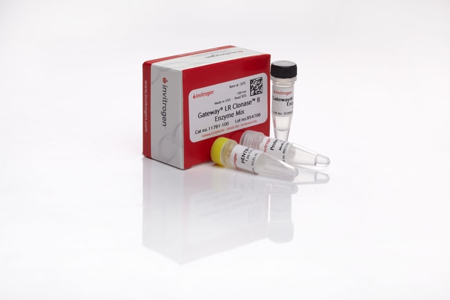 Invitrogen Gateway LR Clonase II Enzyme mix 100 Reactions | Buy Online ...