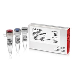 Invitrogen SuperScript IV UniPrime One-Step RT-PCR System No, 25 ...