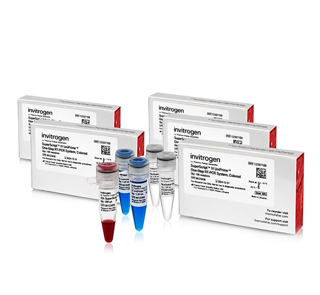 Invitrogen SuperScript IV UniPrime One-Step RT-PCR System Colored | Buy ...