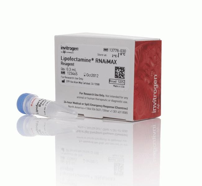 Invitrogen Lipofectamine RNAiMAX Transfection Reagent 0.3mL:Life Sciences | Fisher Scientific