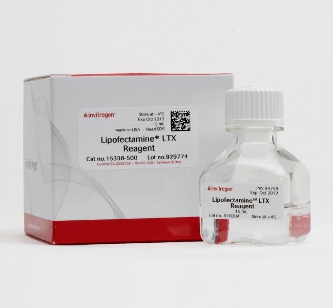 Invitrogen™ Lipofectamine™ LTX Reagent 15 ml Transfection | Fisher Scientific
