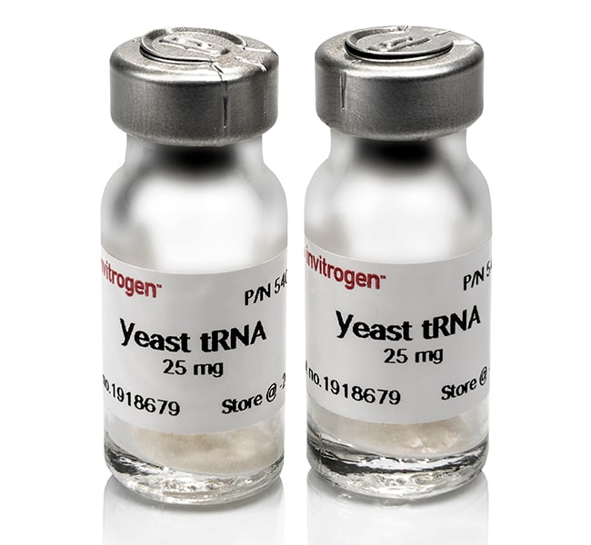 Invitrogen™ Yeast tRNA | Fisher Scientific