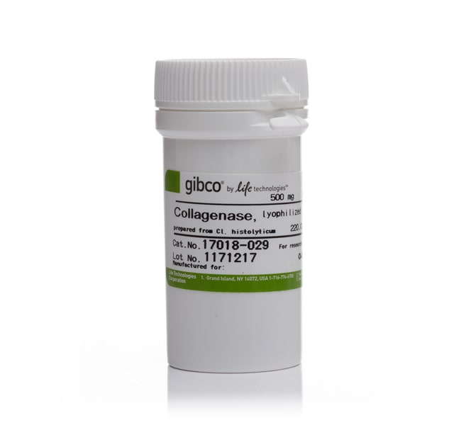 Gibco™ Kollagenase, Typ I, Pulver 500 mg Gibco™ Kollagenase, Typ I ...