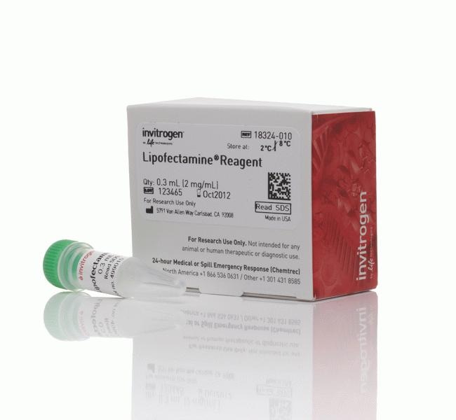 Invitrogen Lipofectamine Transfection Reagent 0.3 mL | Buy Online ...