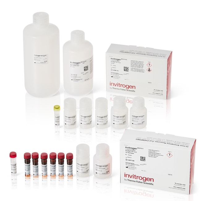 Invitrogen ViewRNA Colorimetric Tissue 1-Plex Kits:Molecular Biology ...