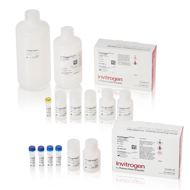 Invitrogen ViewRNA Colorimetric Tissue 1-Plex Kits 24 Assays | Buy ...