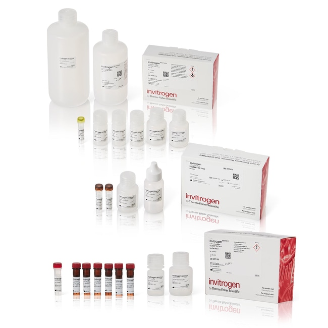 Invitrogen ViewRNA Colorimetric Tissue 2-Plex Kits Red-Brown 2-Plex Kit ...
