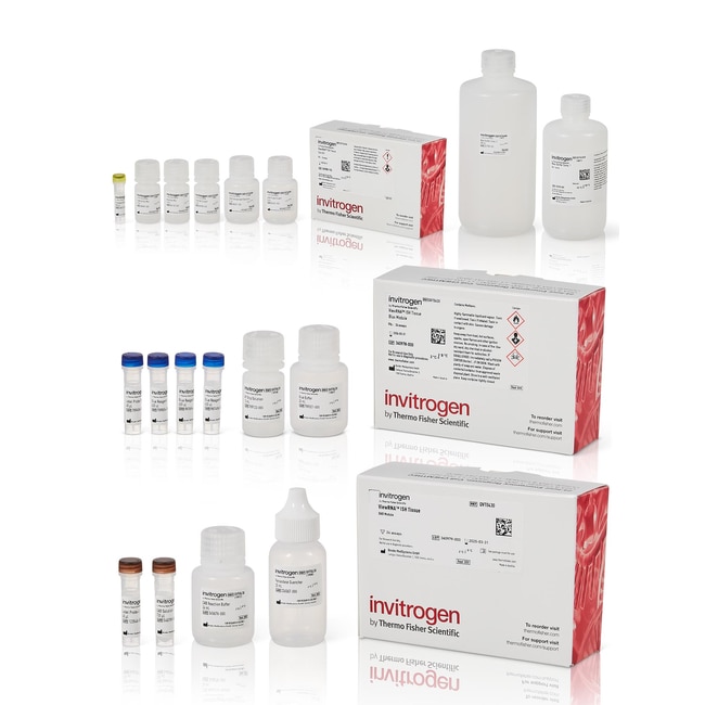 Invitrogen ViewRNA Colorimetric Tissue 2-Plex Kits 24 assays | Buy ...