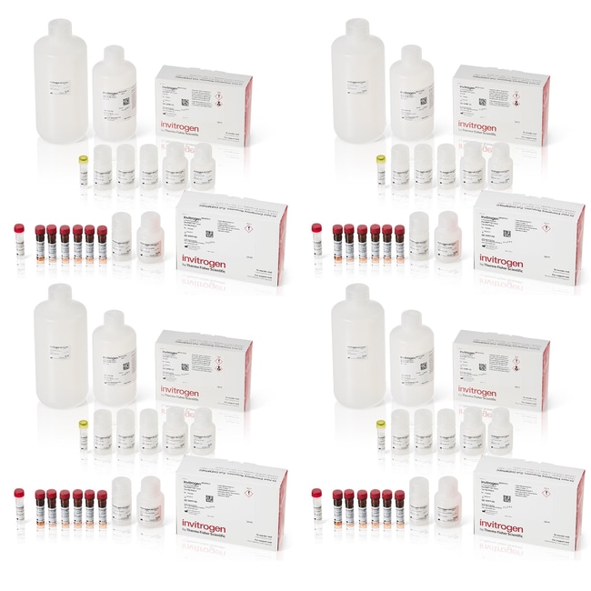 Invitrogen™ ViewRNA™ Colorimetric Tissue 1-Plex Kits Fast Red 1-Plex ...
