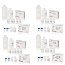 Invitrogen ViewRNA Colorimetric Tissue 1-Plex Kits 96 Assays | Buy ...