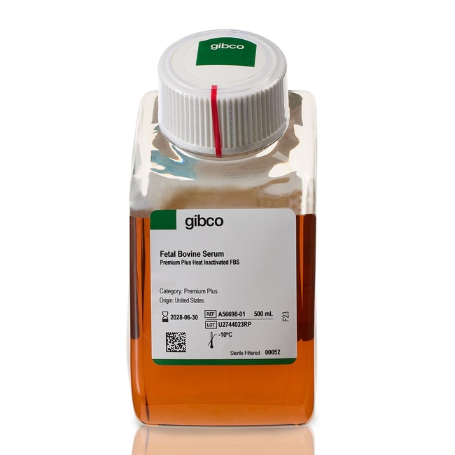 Gibco Fetal Bovine Serum, Premium Plus, heat inactivated 500 mL:Cell ...