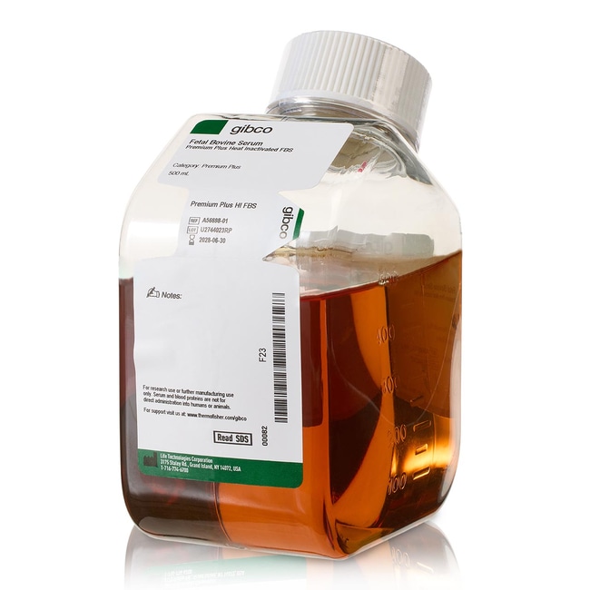 Gibco Fetal Bovine Serum, Premium Plus, heat inactivated 500 mL:Cell ...
