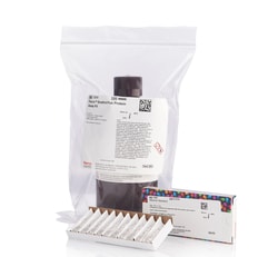 Thermo Scientific Pierce Bradford Plus Protein Assay Kit BSA: 2 mg/ml ...