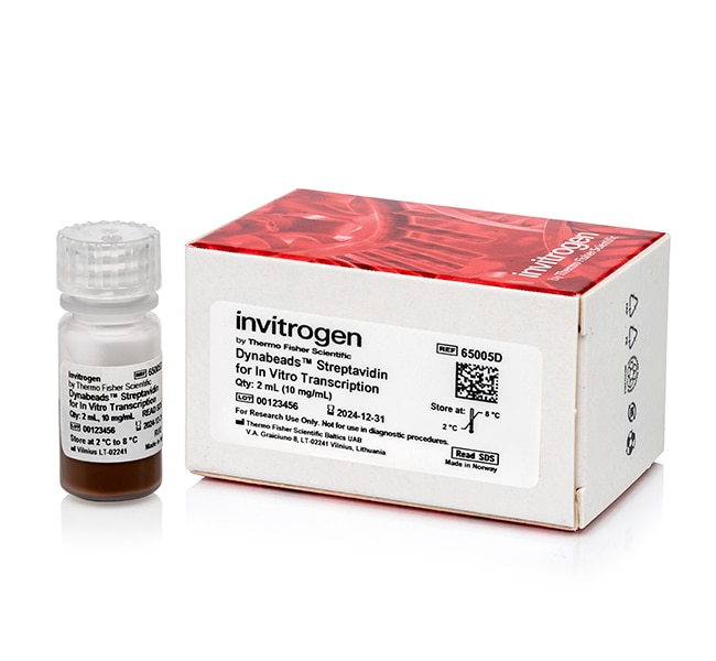 Invitrogen Dynabeads Streptavidin for In Vitro Transcription 2 mL | Buy ...