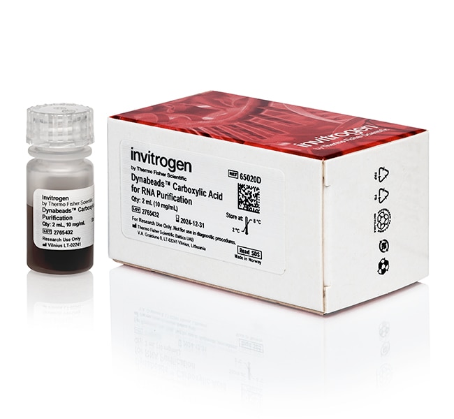 Invitrogen Dynabeads Carboxylic Acid for RNA Purification:Molecular ...