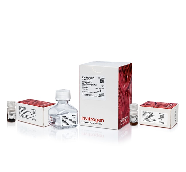 Invitrogen™ Dynabeads™ In Vitro Transcription and RNA Purification Kit ...