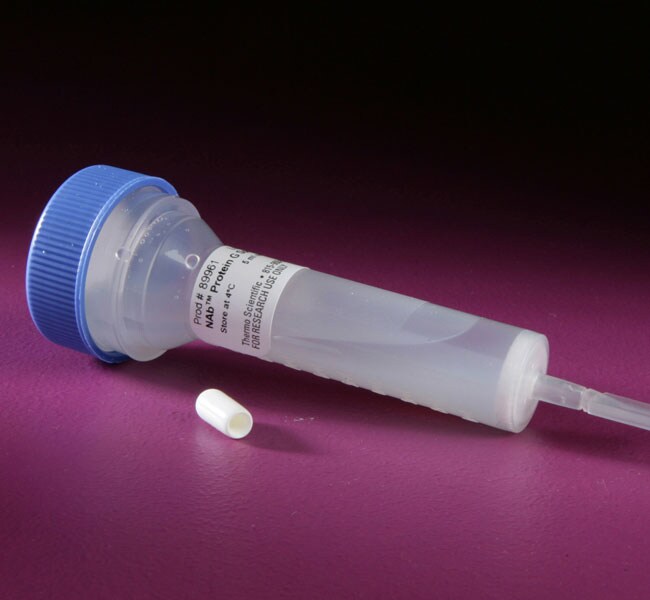 Thermo Scientific™ Pierce™ Protein-G-Agarose und -Kits Spin-Säulen, 22 ...