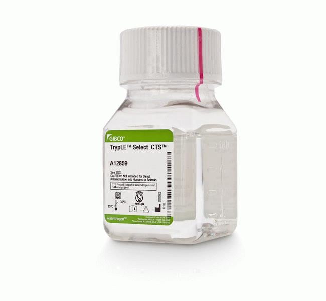 Gibco CTS TrypLE Select Enzyme 100mL:Cell Culture | Fisher Scientific
