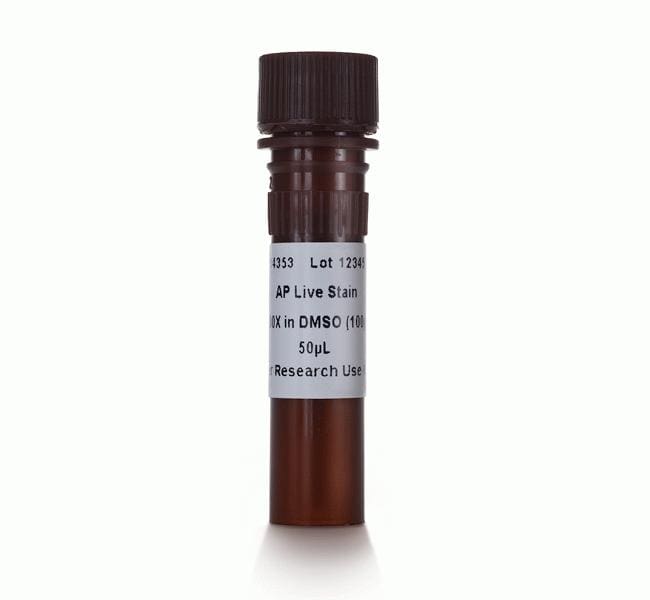 Molecular Probes Alkaline Phosphatase Live Stain 50 μl | Buy Online ...