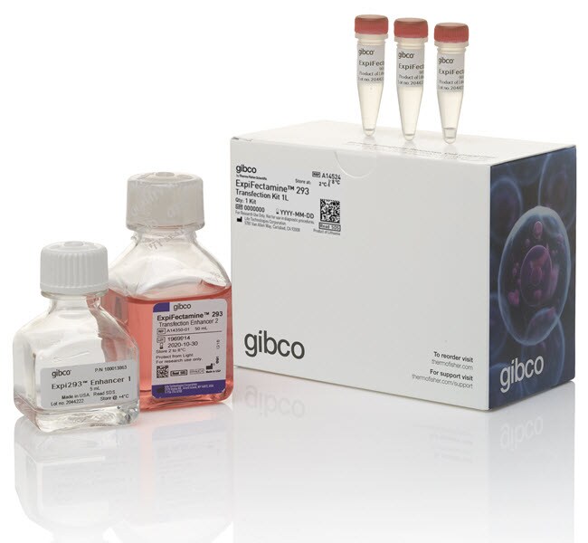 Gibco ExpiFectamine 293 Transfection Kit For 1L of culture:Life ...