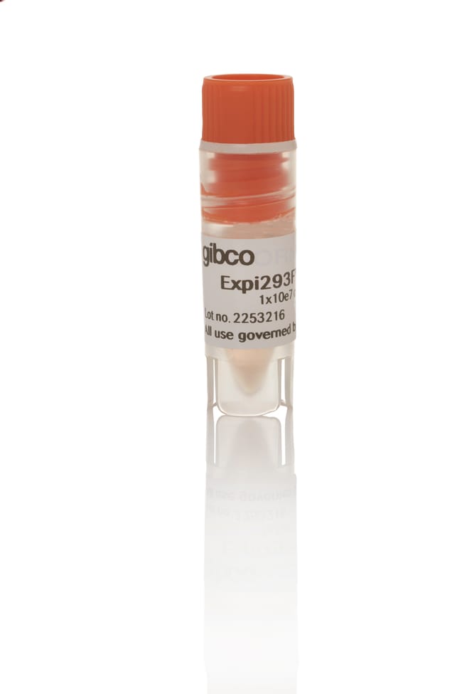Gibco Expi293F Cells 1 mL | Buy Online | Gibco™ | Fisher Scientific