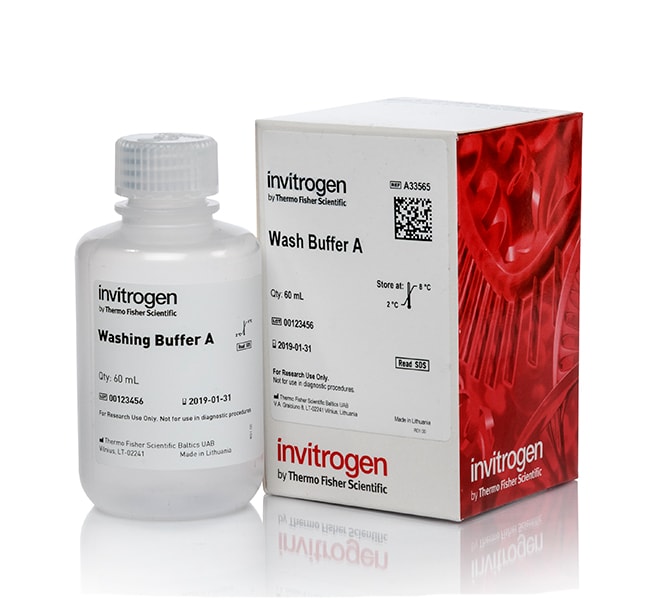 Invitrogen Wash Buffer A for Dynabeads mRNA Purification Kits 1 x 60 mL ...